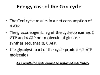 Cori cycle | PDF