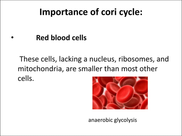 Cori cycle | PDF | Endocrine and Metabolic Diseases | Diseases and ...