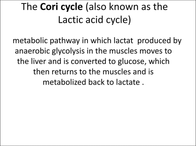 Cori cycle | PDF | Endocrine and Metabolic Diseases | Diseases and ...