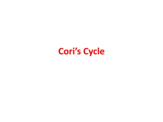 Cori Cycle. Definition and clinical manifestation | PPTX