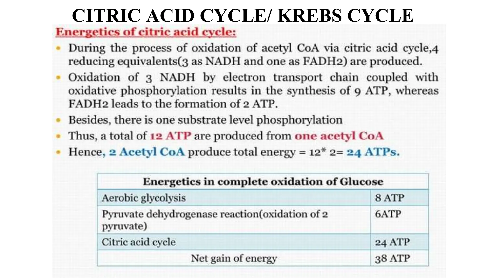 cori cycle and Krebs cycle 2323232323.pptx