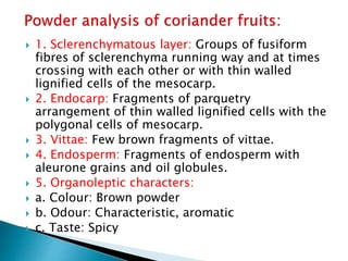 Coriender and funnel.ppt