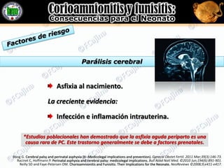 Corioamnionitis y funisitis. consecuencias para el neonato | PDF