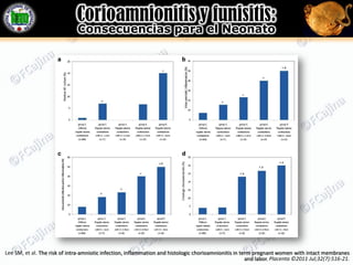 Corioamnionitis y funisitis. consecuencias para el neonato | PDF