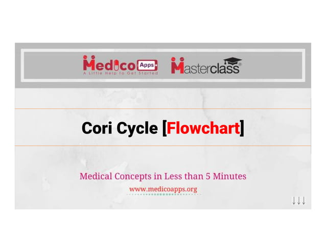 Cori's cycle | PDF
