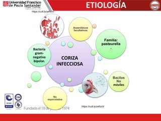Coriza infecciosa aviar | PPTX