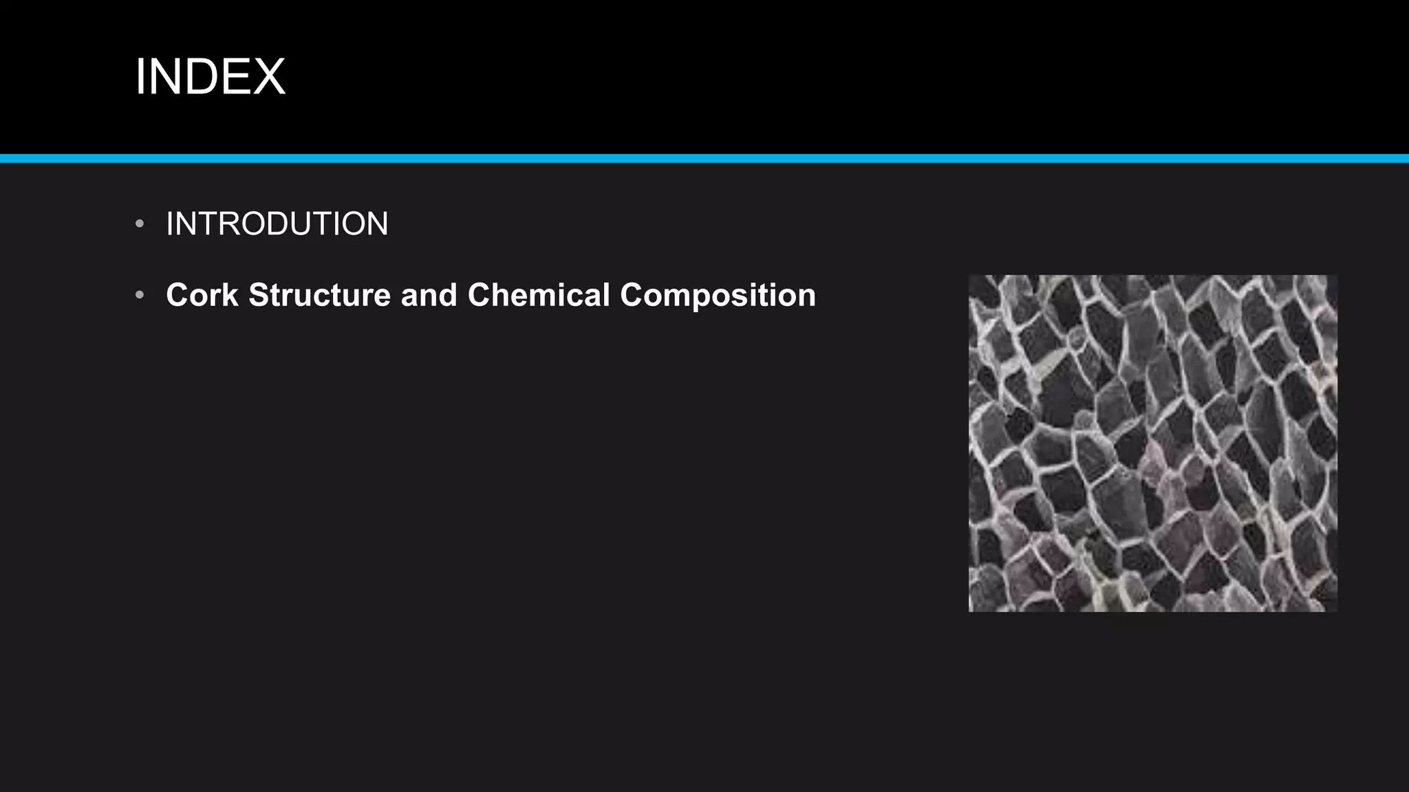 Cork Cell (Phellem Cell) | PPTX
