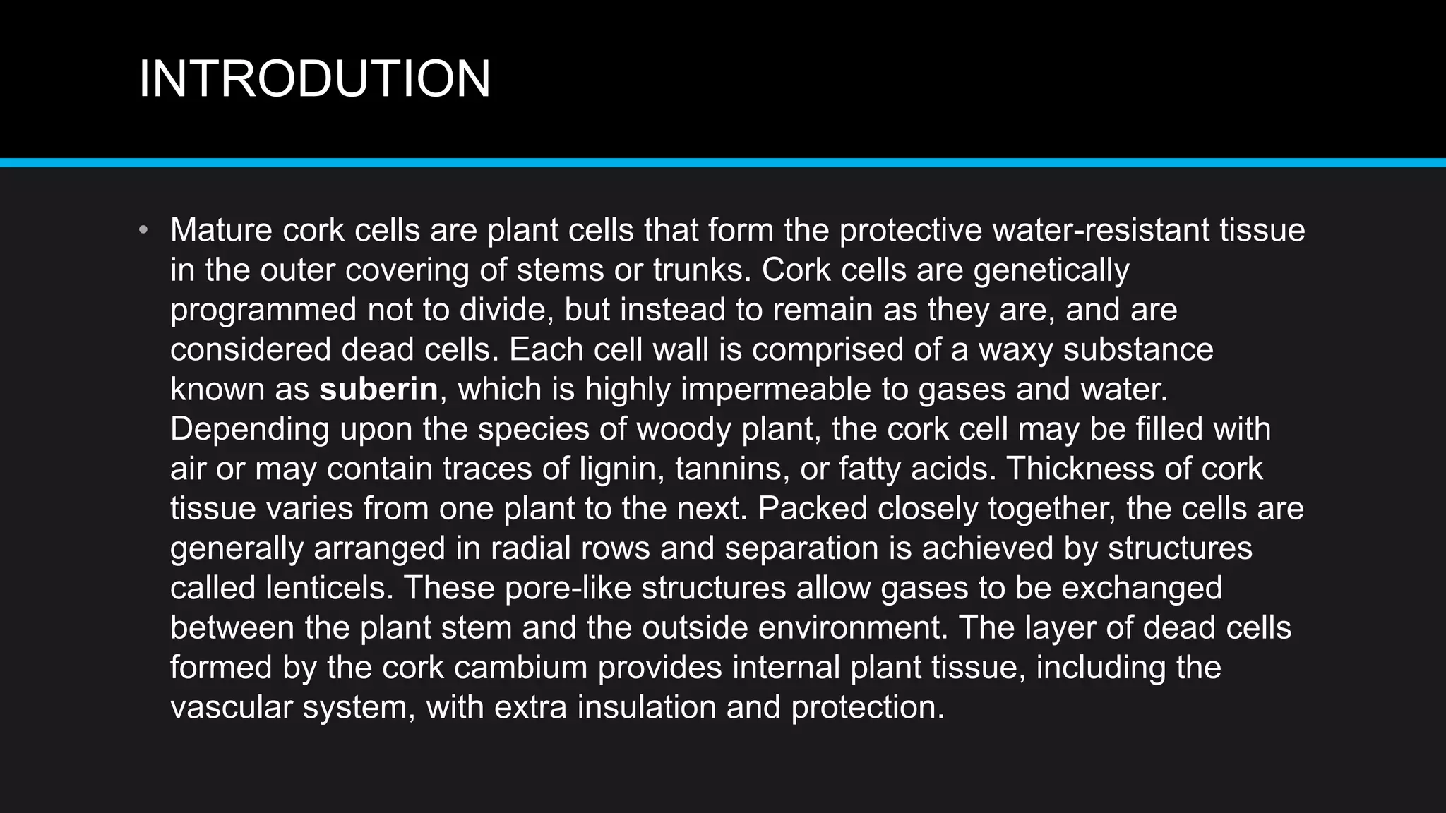Cork Cell (Phellem Cell) | PPTX