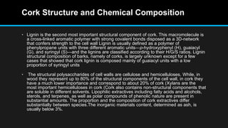 Cork Cell (Phellem Cell) | PPTX