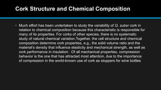 Cork Cell (Phellem Cell) | PPTX