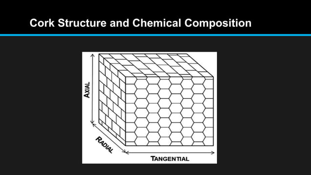 Cork Cell (Phellem Cell) | PPTX