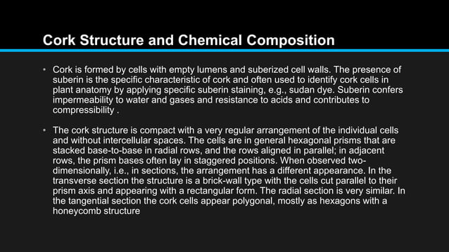 Cork Cell (Phellem Cell) | PPTX