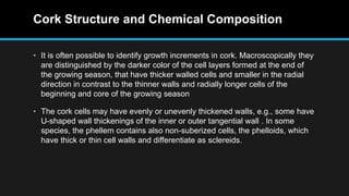 Cork Cell (Phellem Cell) | PPTX | Chemistry | Science