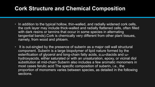 Cork Cell (Phellem Cell) | PPTX