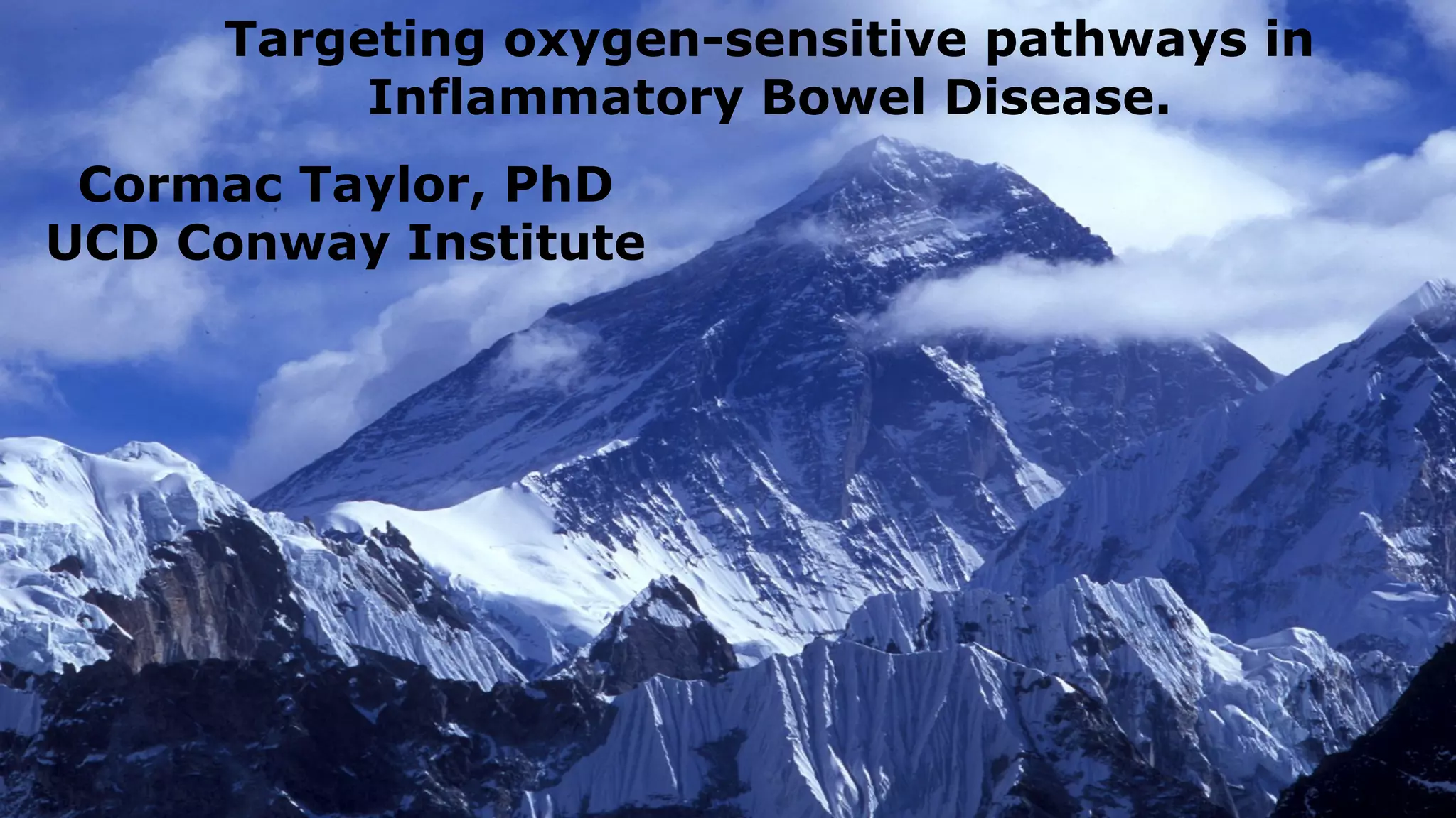 Prof. Cormac Taylor, UCD Conway Institute | PPT