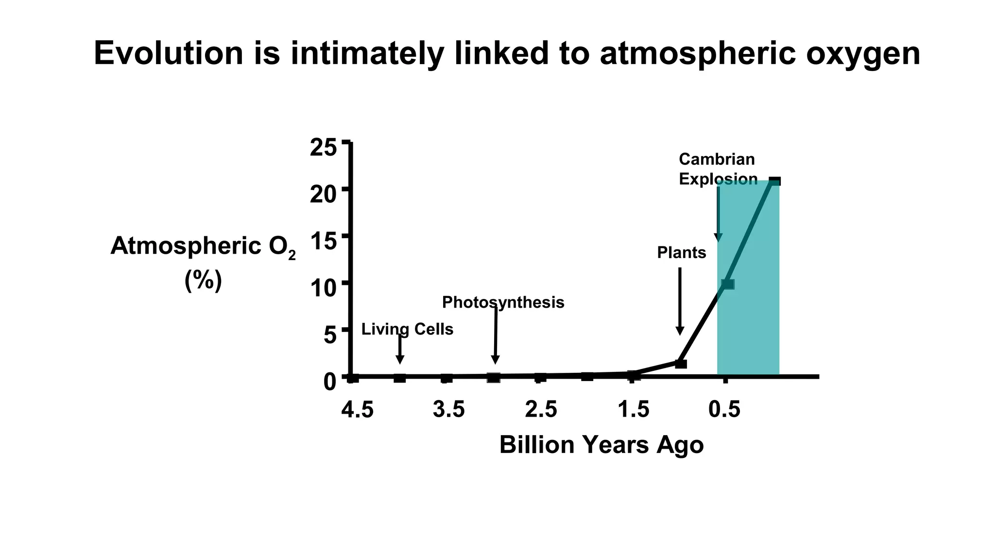 Prof. Cormac Taylor, UCD Conway Institute | PPT