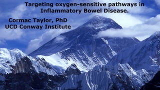 Prof. Cormac Taylor, UCD Conway Institute | PPT