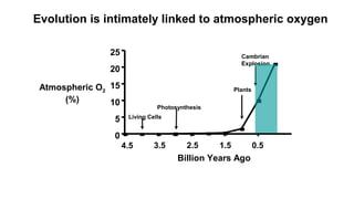 Prof. Cormac Taylor, UCD Conway Institute | PPT