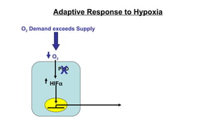 Prof. Cormac Taylor, UCD Conway Institute | PPT