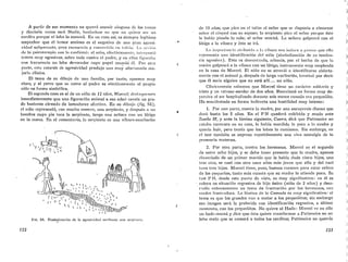 Corman louis-test-del-dibujo-de-la-familia-en-la-practica-medico ...