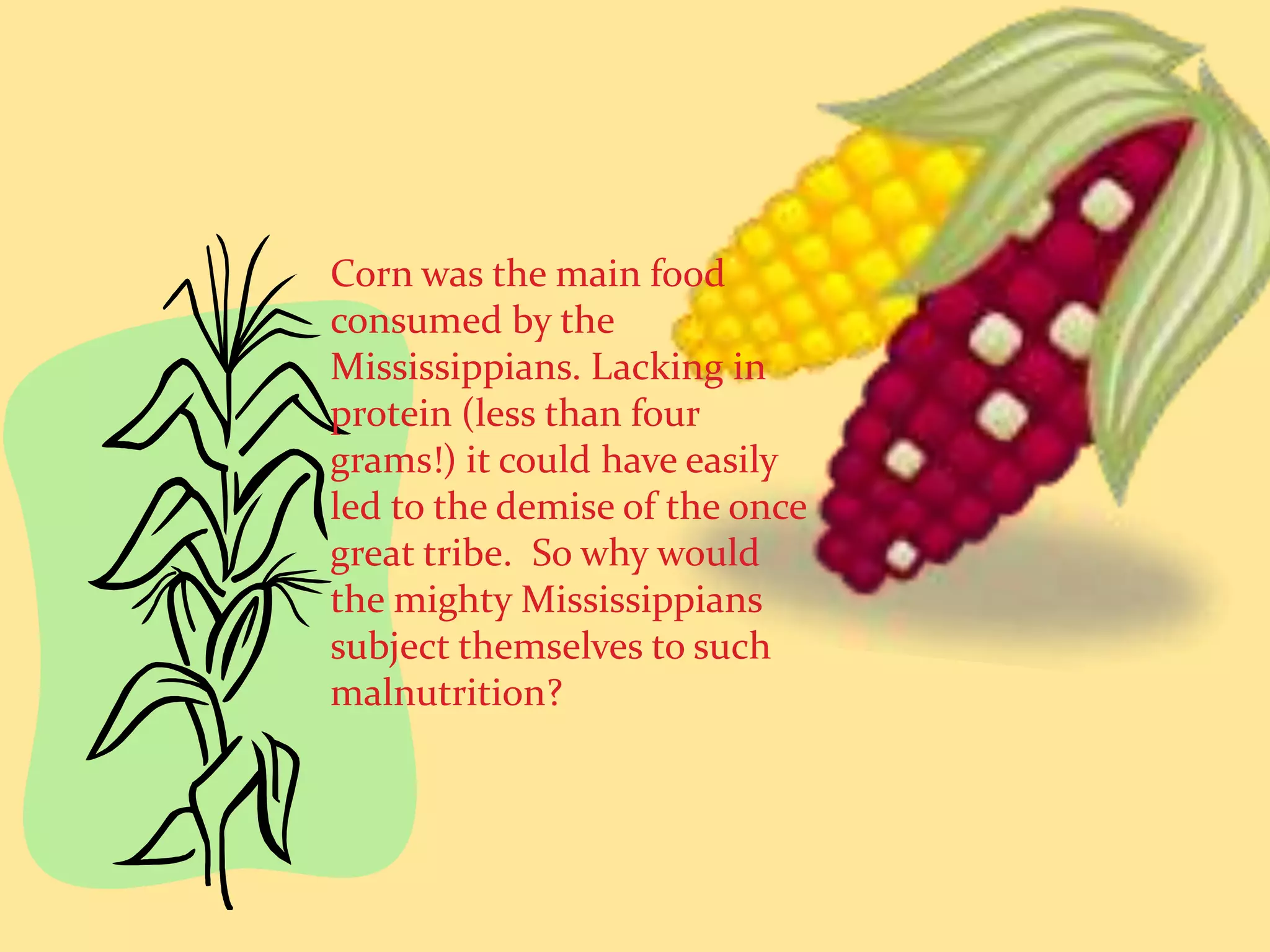 Corn! | PDF | Nutrition | Healthy Living