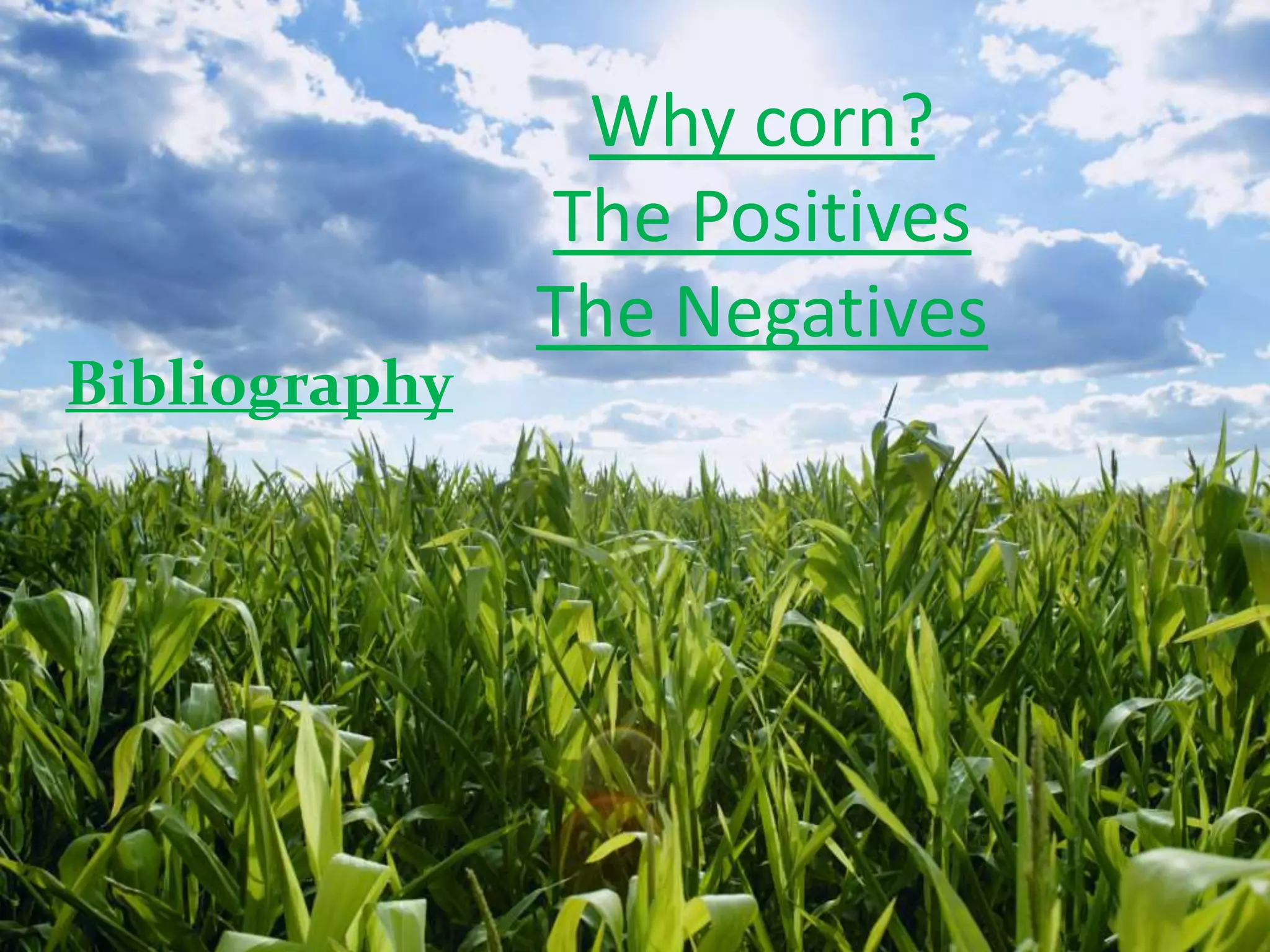 Corn! | PDF | Nutrition | Healthy Living