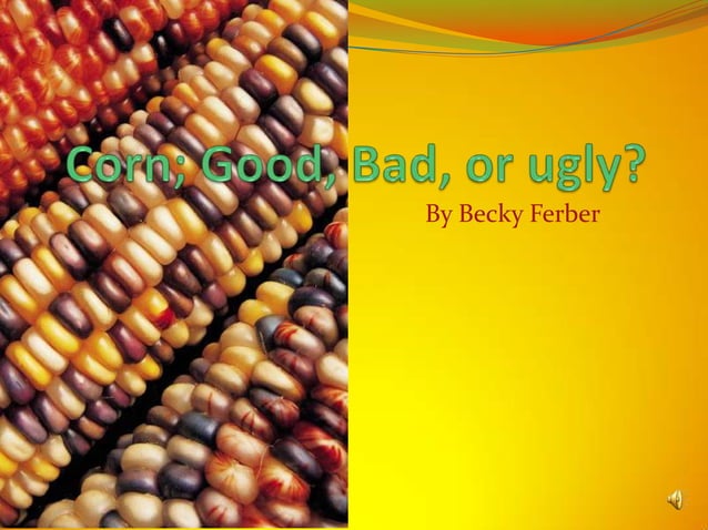 Corn! | PDF | Nutrition | Healthy Living
