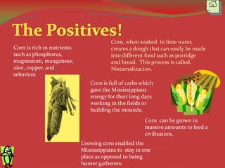 Corn! | PDF | Nutrition | Healthy Living