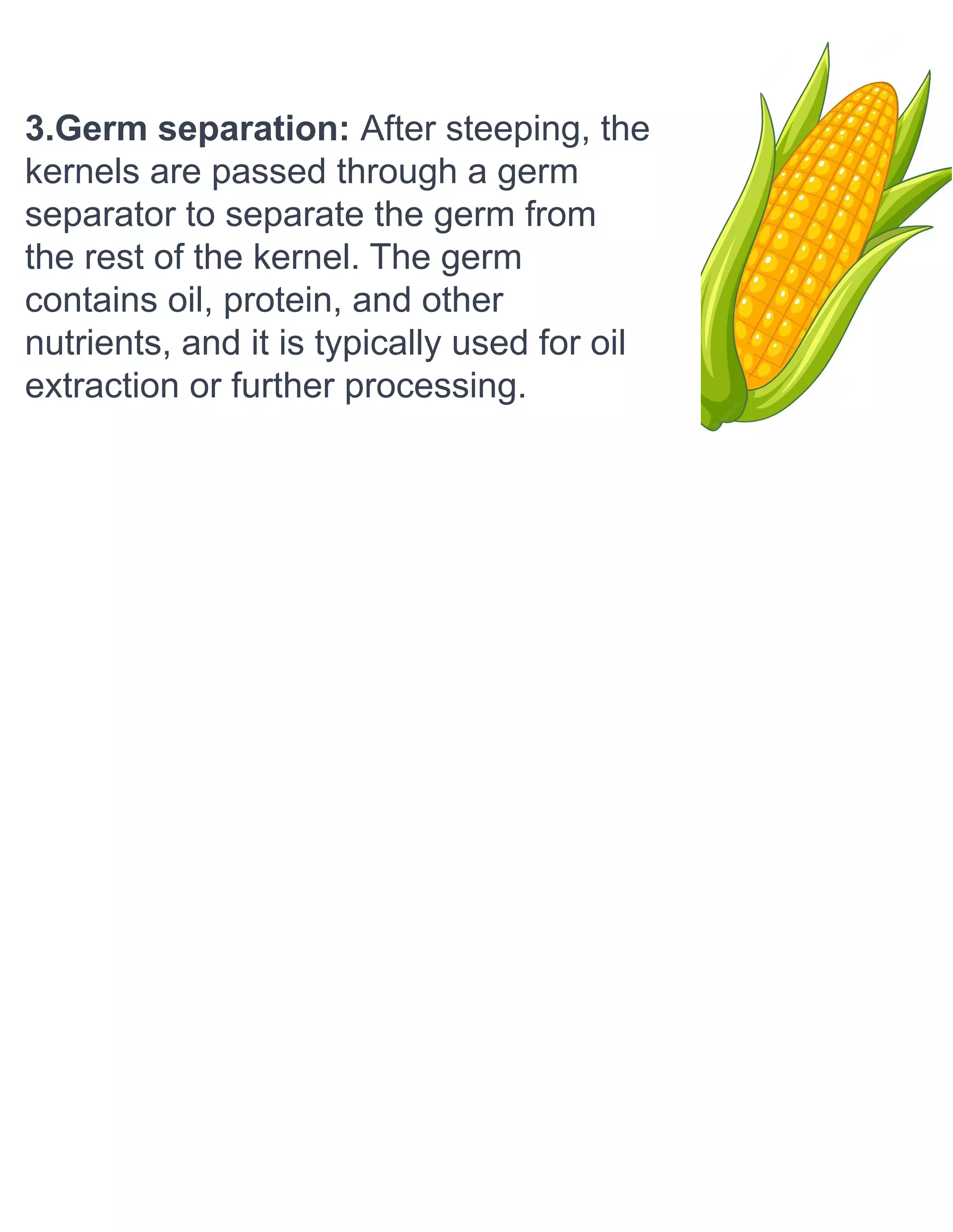 Corn and corn types .pdf
