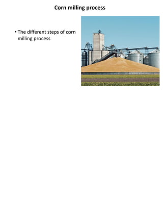 Corn and corn types .pdf