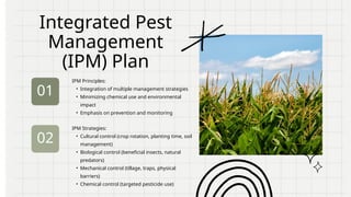 Strategies and Approaches in Pest Control of Corn.pptx