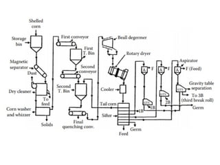 Corn milling process (equation involved janana hha ) | PPT