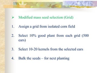 Corn-Seed-Production for Hybrid and OPV.pptx