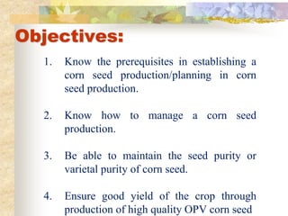 Corn-Seed-Production for Hybrid and OPV.pptx