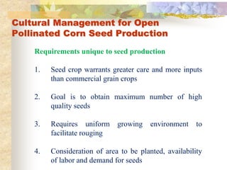 Corn-Seed-Production for Hybrid and OPV.pptx