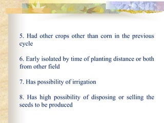 Corn-Seed-Production for Hybrid and OPV.pptx