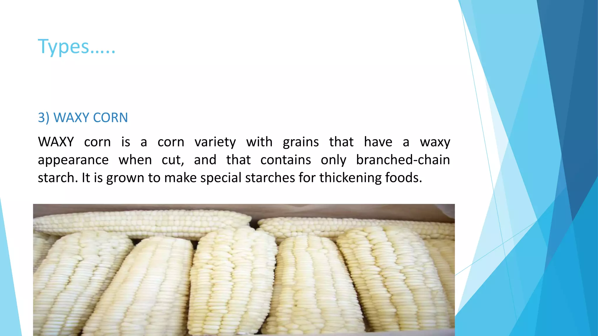 Starch manufacturing from Corn and Industrial Application | PPTX