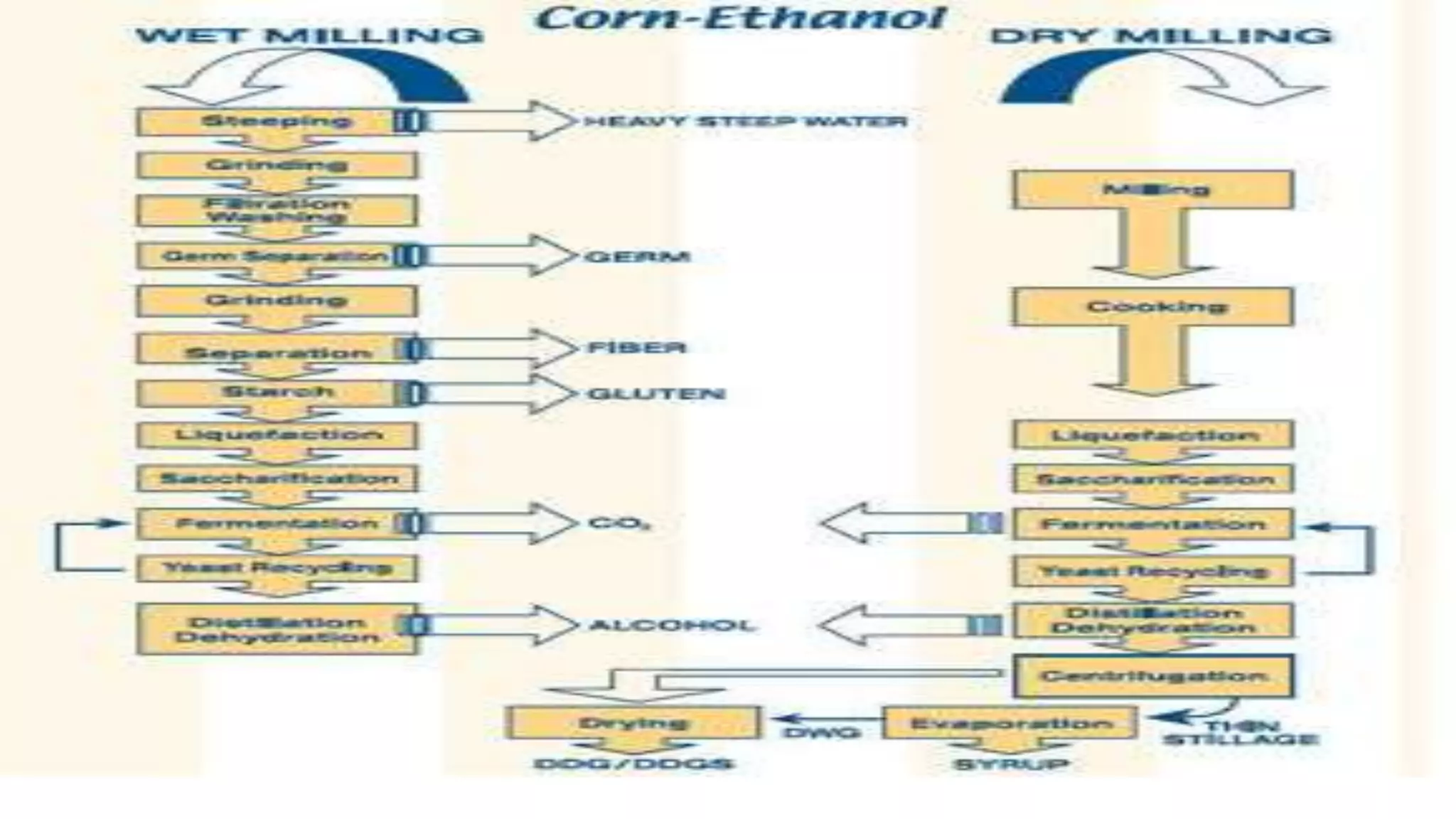 Starch manufacturing from Corn and Industrial Application | PPTX