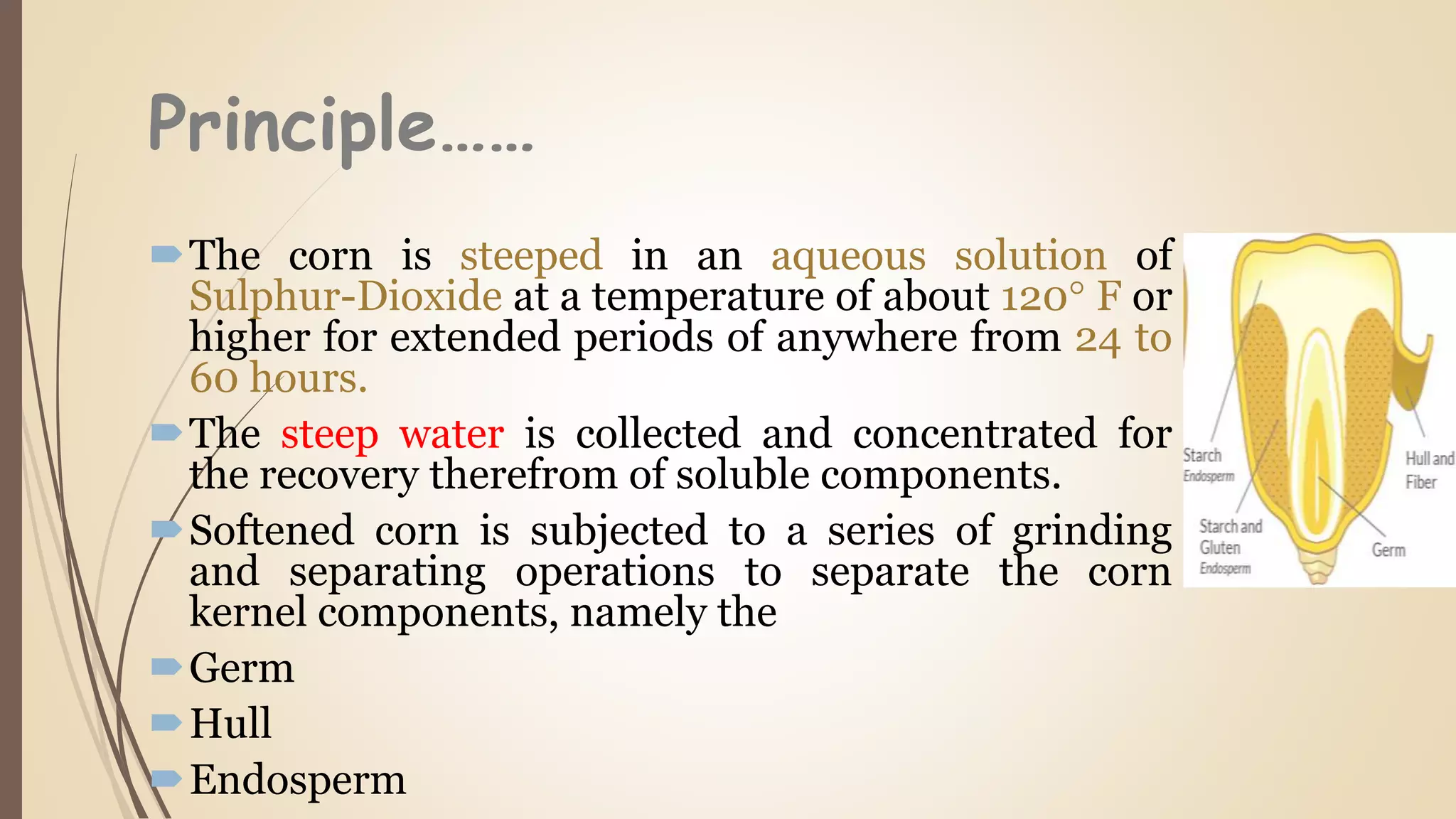 Starch manufacturing from Corn and Industrial Application | PPTX