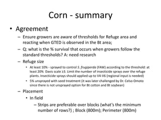 Corn - summary | PPT