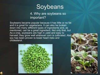 Corn and soybeans | PPT