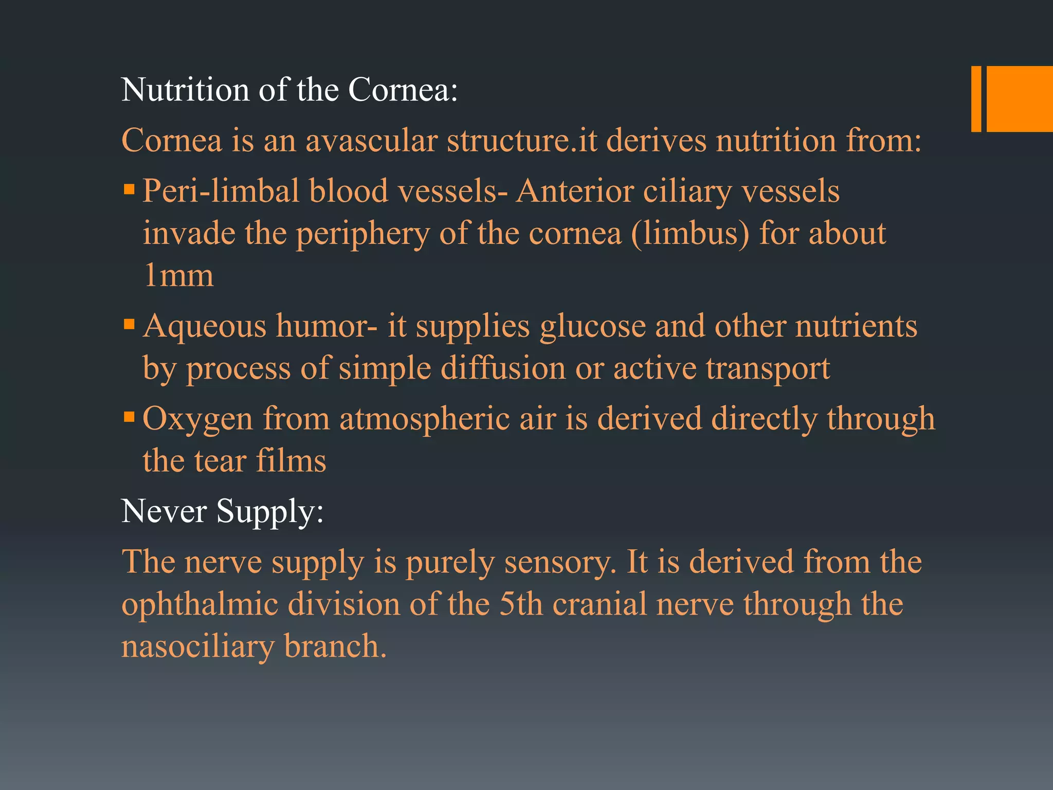 Cornea anatomy | PPTX