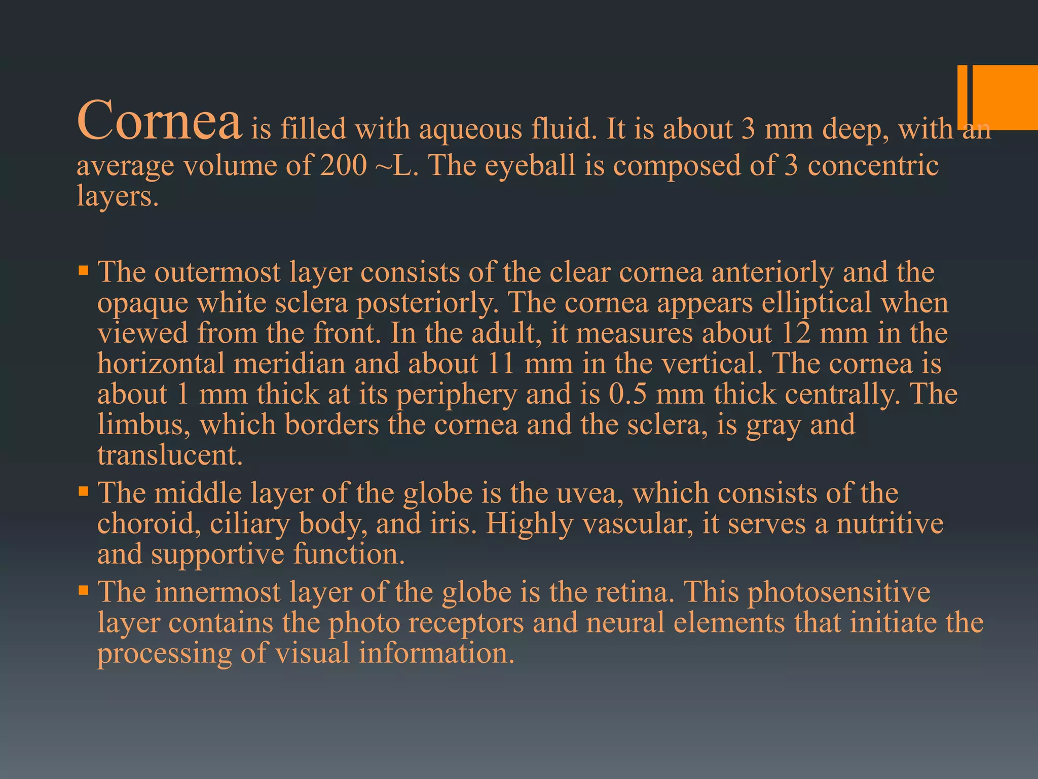 Cornea anatomy | PPTX