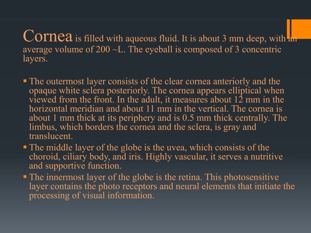 Cornea anatomy | PPT
