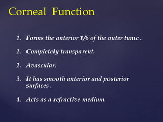 Corneal physiology... | PPT