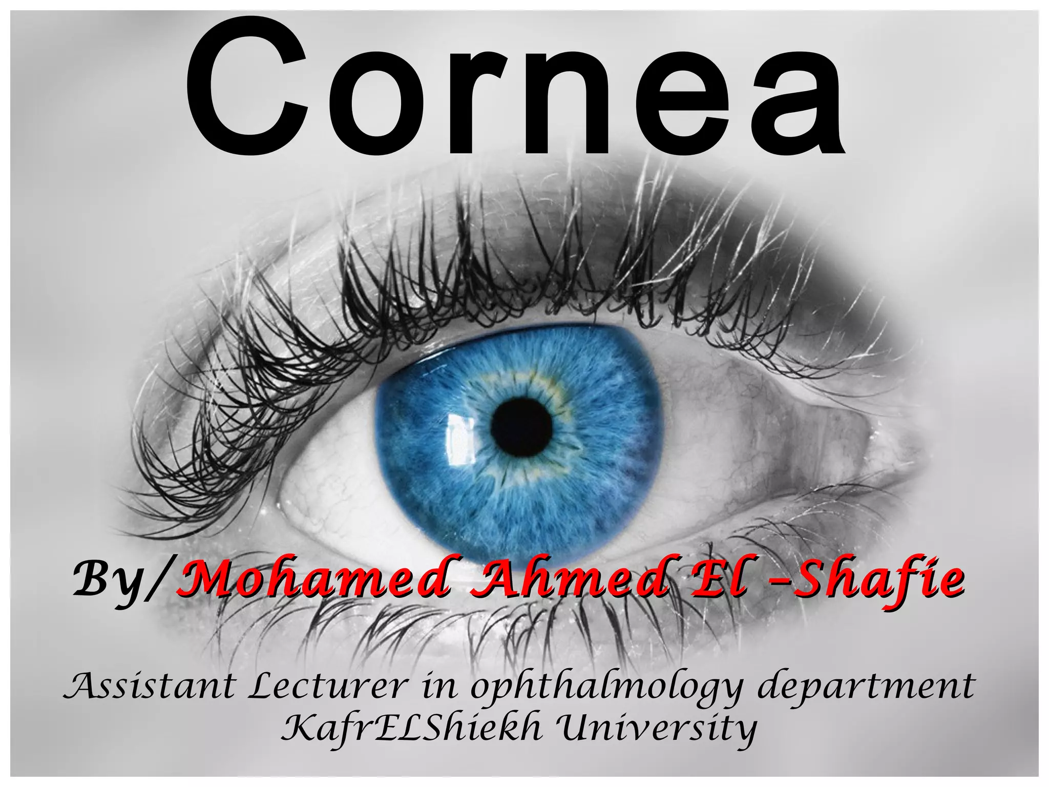 Cornea for undergraduate | PPT