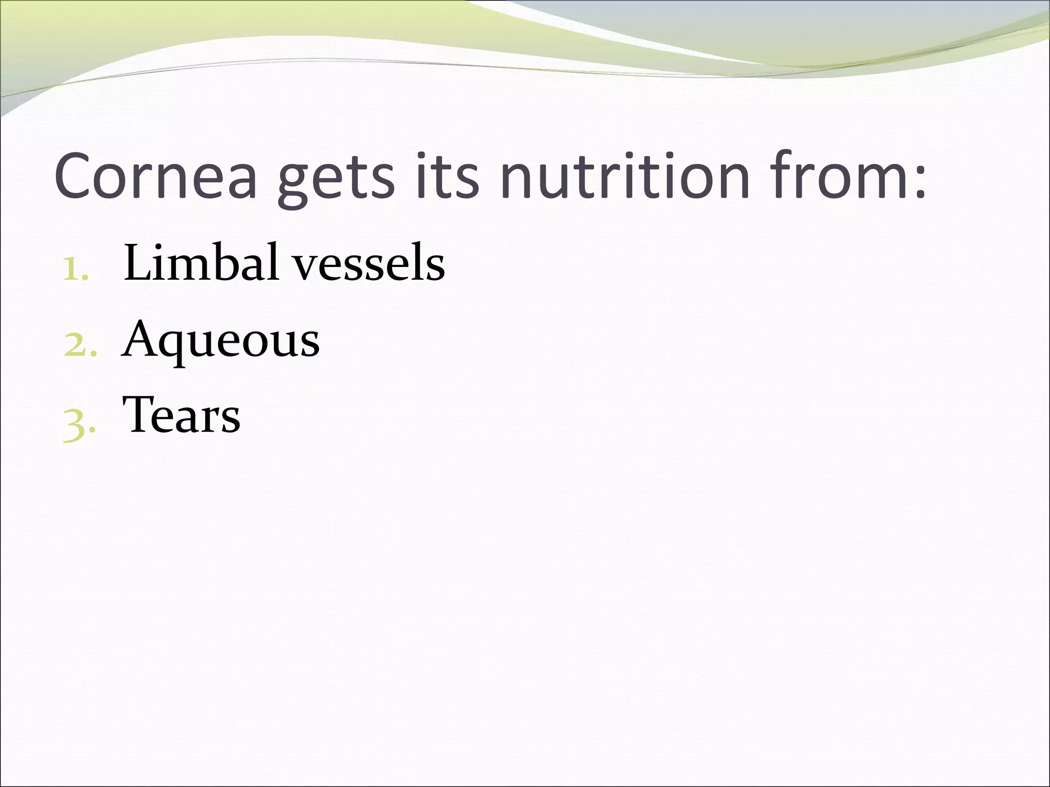 Cornea for undergraduate | PPT