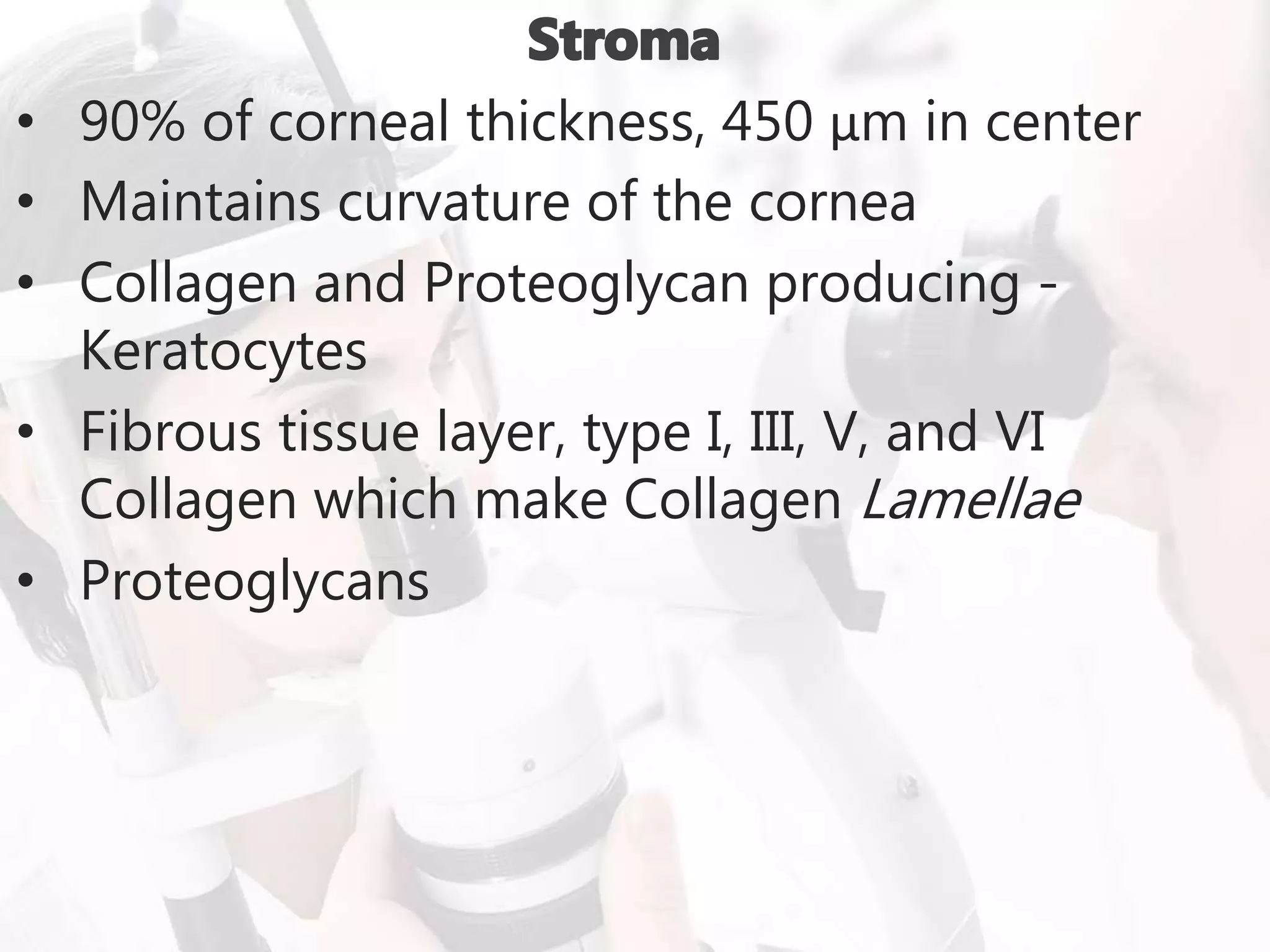 Cornea | PPTX