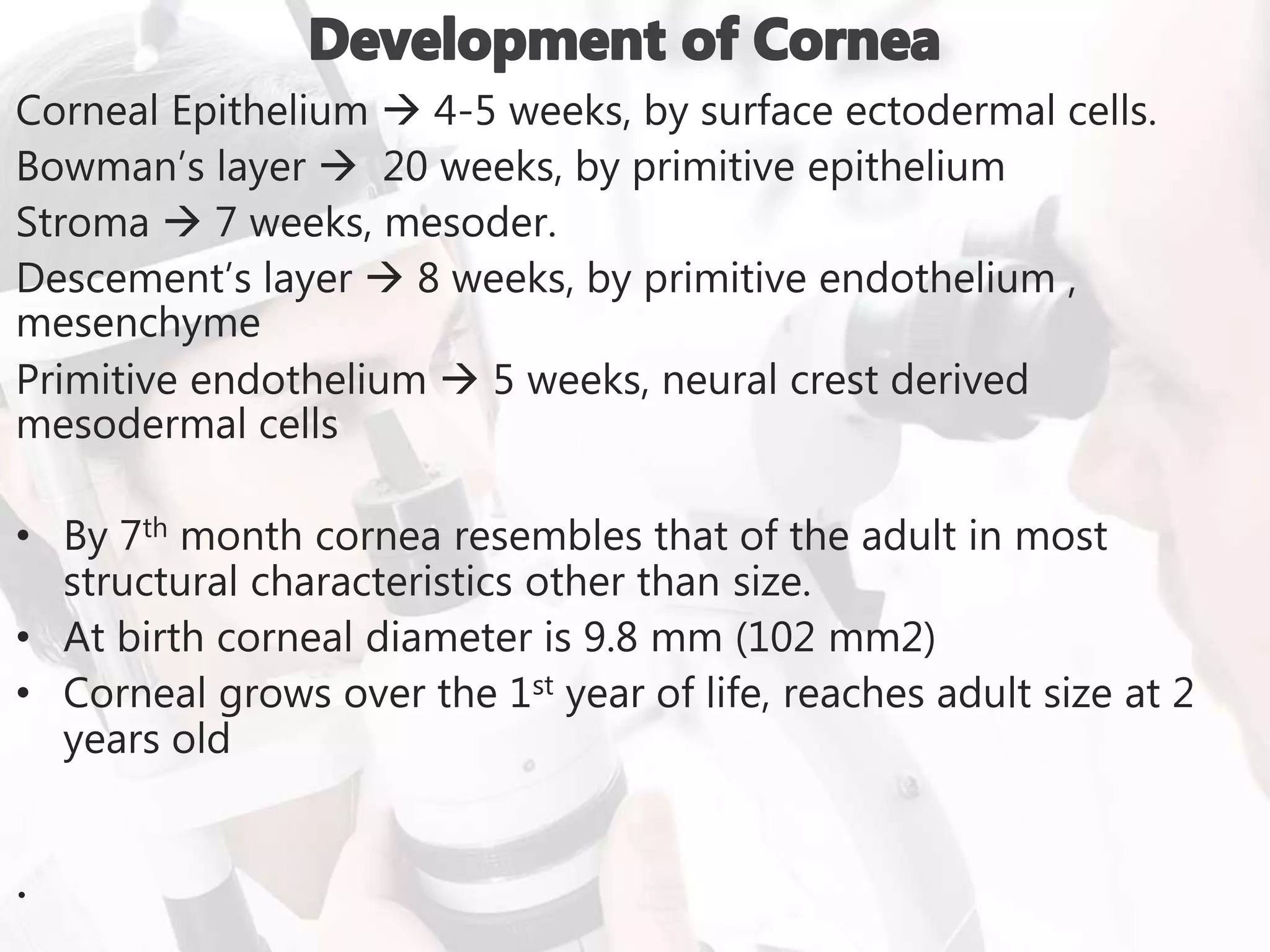 Cornea | PPTX