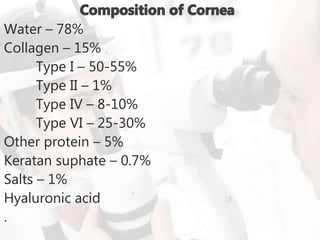 Cornea | PPTX